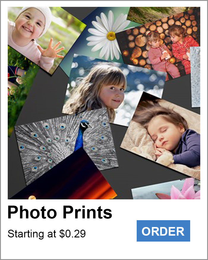 Photo Printing - Arrow Camera