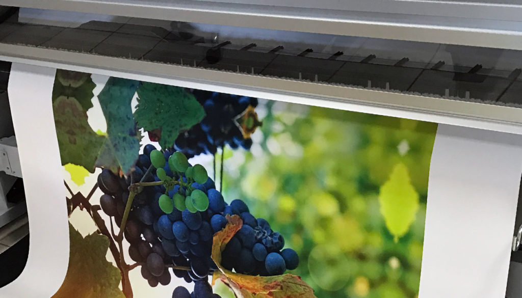 Arrow Photo Professional Photo Lab